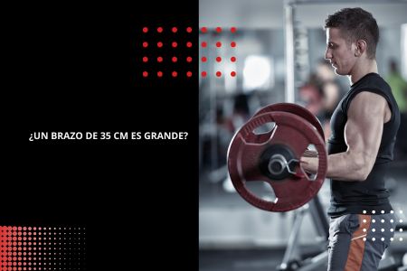 ¿UN BRAZO DE 35 CM ES GRANDE?